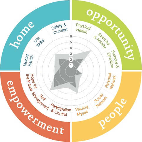 Recovery Tools, Measures and Instruments – International Mental Health ...